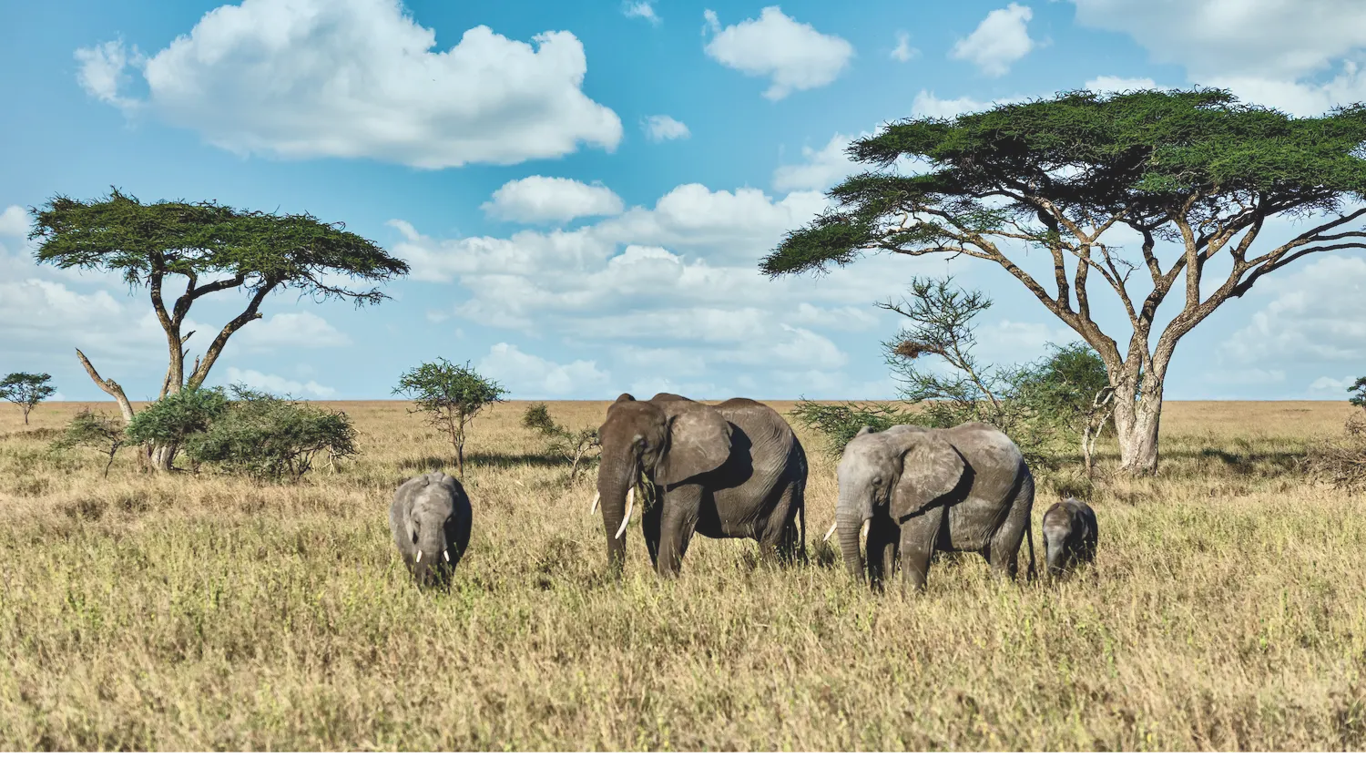 Home Page - Just Nature Expeditions