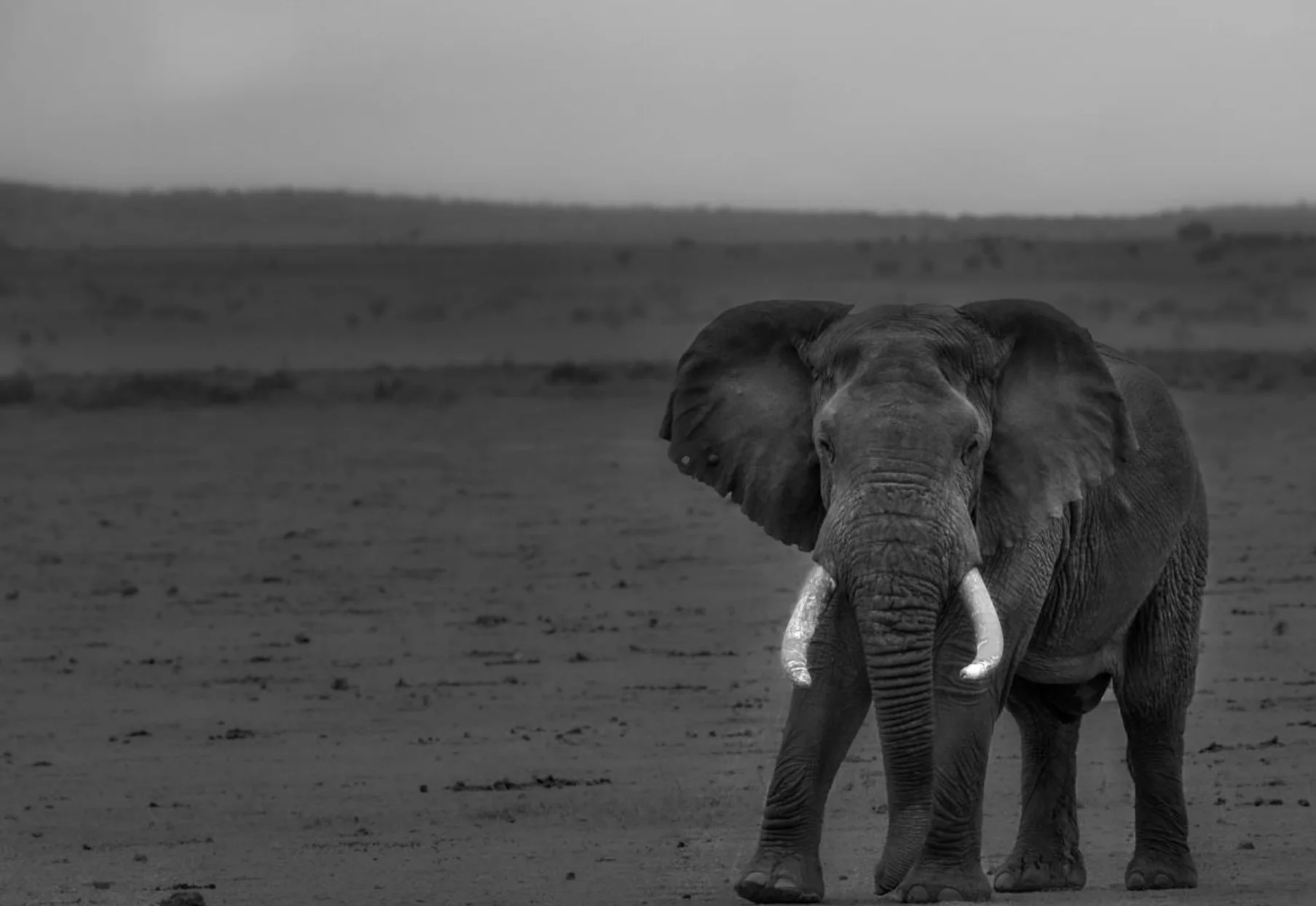 Guided-Tours - Just Nature Expeditions